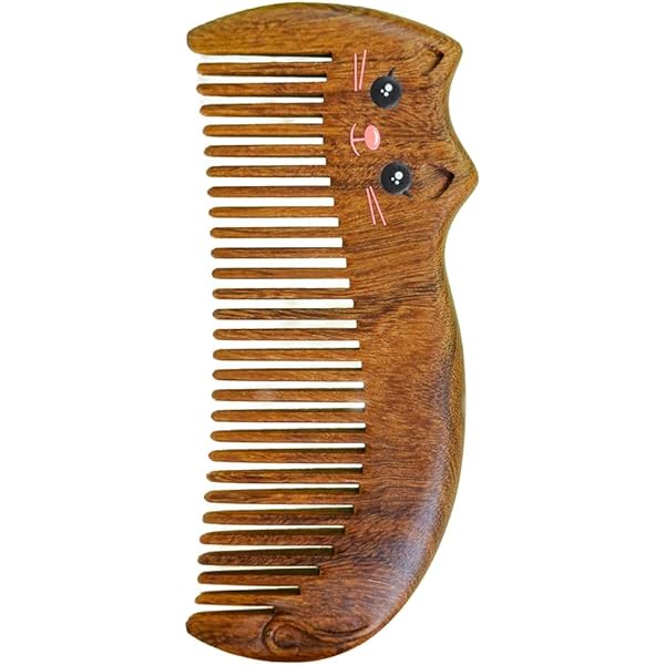 Amazon | TAN MUJIANG 譚木匠 木製ヘアコーム「栖雲」 反り上がった